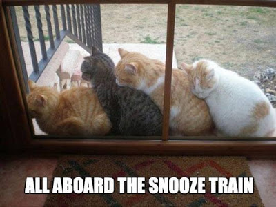 all+aboard+the+snooze+train.jpg – Golch CENTRAL