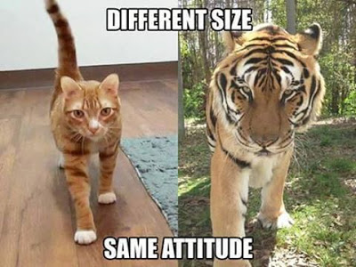 different+size+same+attitude.jpg – Golch CENTRAL